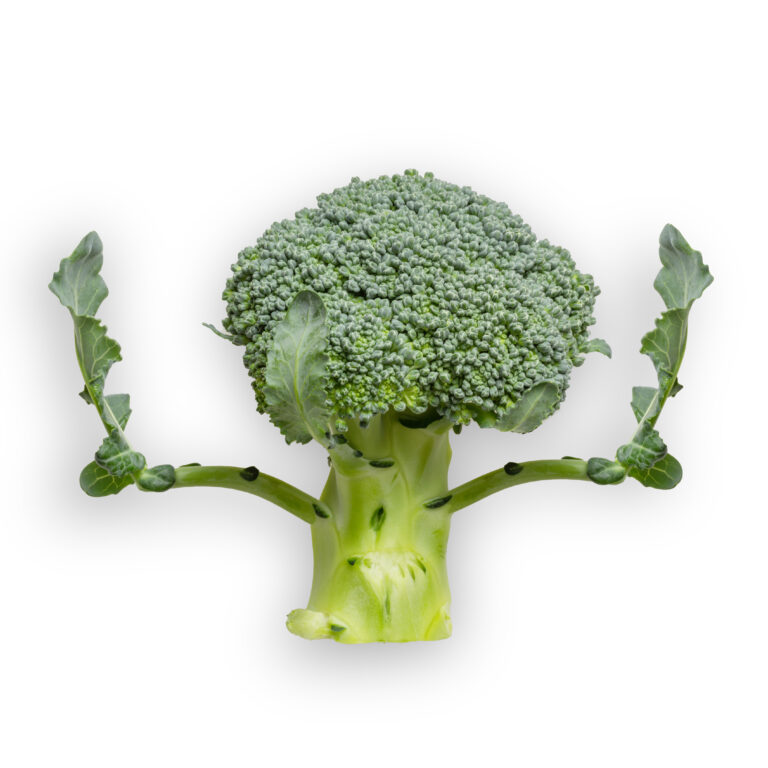 Easy Active | Fitnessclub Easy Active